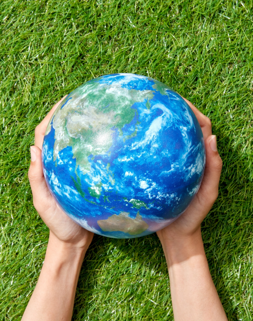 Greenomers Compostable and Biodegradable Products